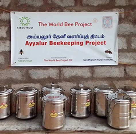 Gallery Examples World Bee Project