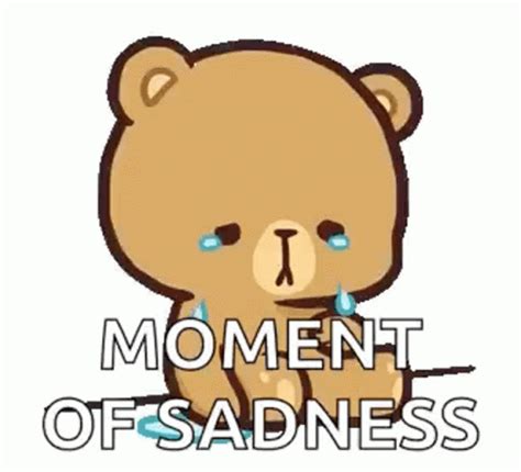 Moment Of Sadness Crying Mocha Bear 