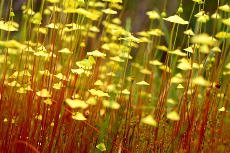 I Want To Turn An Old Tablet Into Something Like An Ebook Reader R Androidafterlife