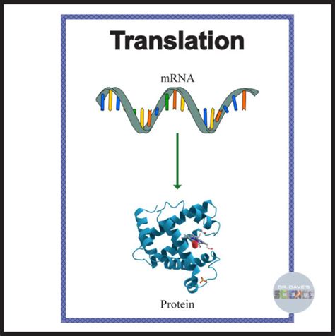 Dna And Genetics Posters Made By Teachers