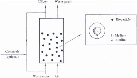 Scheme Of The Inverse Fluidized Bed Biological Reactor Download Scientific Diagram