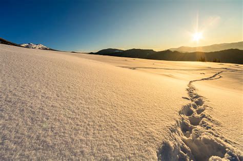 아름 다운 겨울 크리스마스 풍경입니다 빈 필드를 통해 크리스탈 화이트 깊은 눈에 인간 발자국 추적 경로 맑고 푸른 하늘에 해돋이에 수평선에 우 디 어두운 언덕 우주 배경을