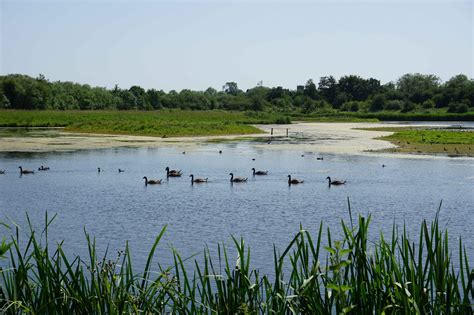 Nature Reserve Spotlight Brandon Marsh Exploration Journal