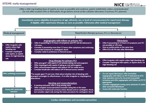 Management Of Stemi Primary Care Notebook