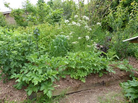 3 Vidéos Du Jardin De Philip Forrer Dans Laude 11 Bel Exemple De