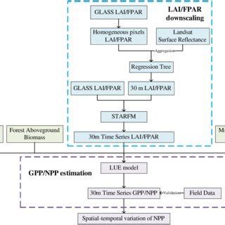 Flowchart Of GPP NPP Estimates From Downscaling Method And LUE Based