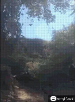 GIF Nsfw Tigerdroppingscom Friday Animated GIF On GIFER