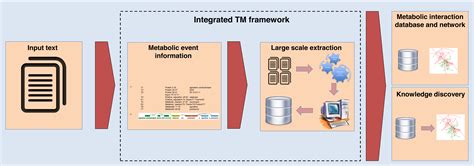 An Integrated Text Mining Framework For Metabolic Interaction Network Reconstruction Peerj