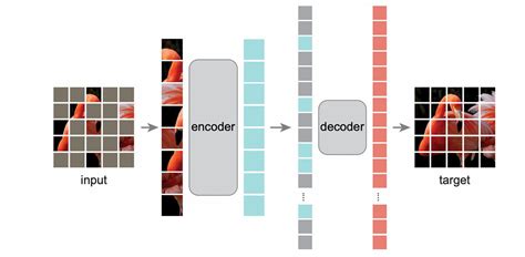 towards data science on linkedin from vision transformers to masked