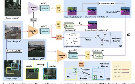Figure 1 From Pipa Pixel And Patch Wise Self Supervised Learning For