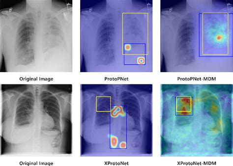 Figure 1 From Mdm Multiple Dynamic Masks For Visual Explanation Of Neural Networks Semantic