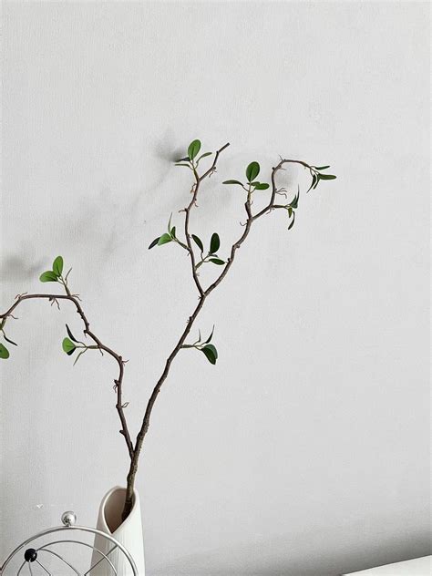 오늘도 행복이 가득이준 ‎협찬 Lottemartkr 우리 아기가 제일 좋아하는 과일은 바로 복숭아 물복vs딱복 저랑 남편은 물복파인데요 ‎⺣ﻌ⺣ 준이는