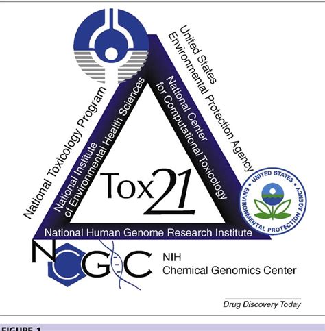 Figure 1 From The Future Of Toxicity Testing A Focus On In Vitro Methods Using A Quantitative