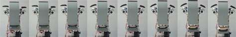 Robotics Facial Expression Of Anger In Collaborative Human Robot Interaction Mauricio E Reyes