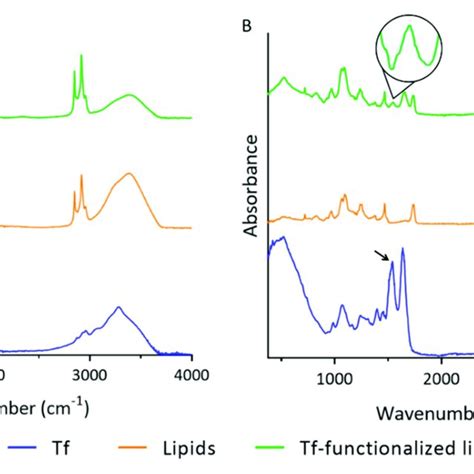 Atr Ftir Spectra Of Tf Blue Line Non Functionalized Lipids Orange