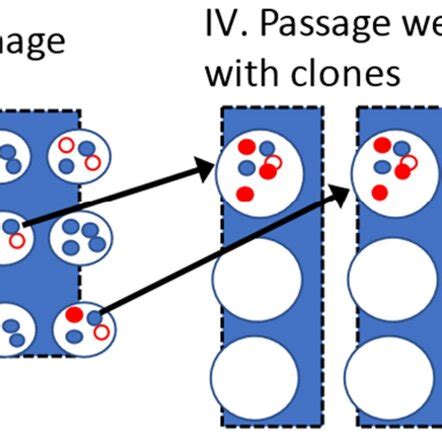 Schematic Of The Data Model And Naming Convention Various Activities Download Scientific
