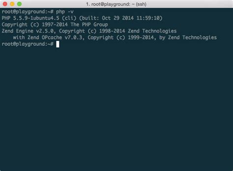 How To Set Up A WordPress VPS Codeable