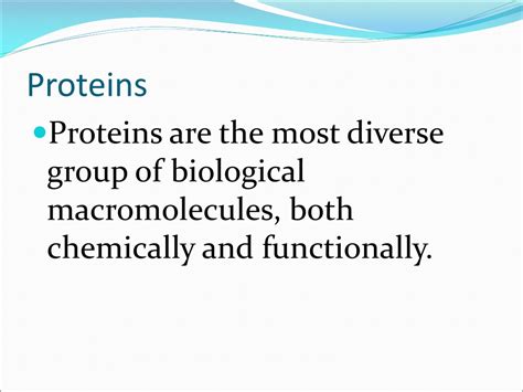 PPT - Exploring Proteins: Diverse Structures & Functions PowerPoint Presentation - ID:9519636