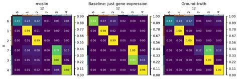 mapping lineage traced cells across time points with moslin moscot
