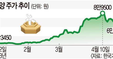 ‘공시규정 위반 금양 불성실공시법인 지정 예고