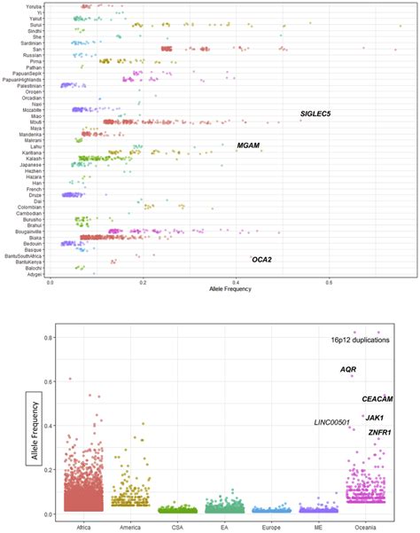 Population Structure Stratification And Introgression Of Human