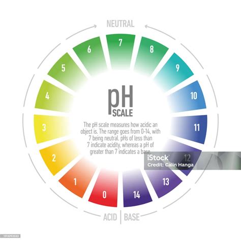 산에서 염기 용액 산염 베이스 밸런스 인포그래픽까지 Ph 값 스케일 산도 값에 대한 스톡 벡터 아트 및 기타 이미지 산도 값 피부 건강한 생활방식 Istock