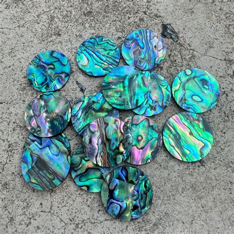 Multi Colored Abalone Shells Etsy