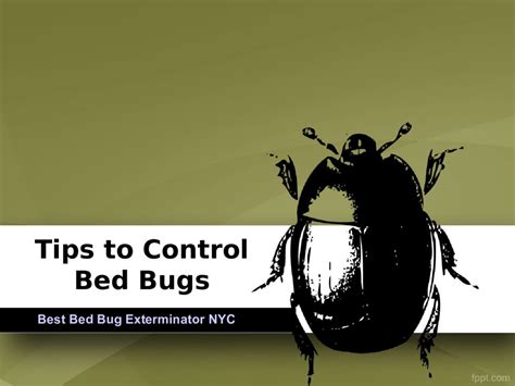 Tips To Control Bed Bugs Speaker Deck Tips To Control Bed Bugs Speaker Deck
