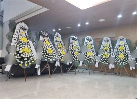 전국 장례식 조화 가격 및 배달 업체 추천 정성꽃배달 전국 꽃바구니 꽃배달 화환 화분