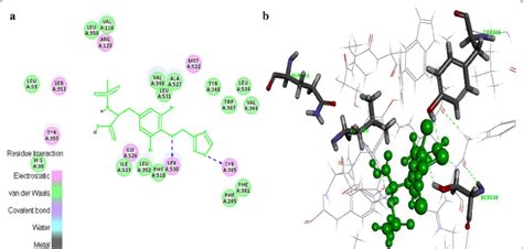 Tyrosine Derivatives Interaction Map With The Cox 1 Protein A 2d View