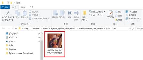 OpenCVとPythonとVisualStudioで顔認識してみる Kazuki Room モノづくりブログ