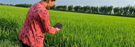 Transitions Inclusive Digital Tools To Scale Smallholder Agroecology International Rice
