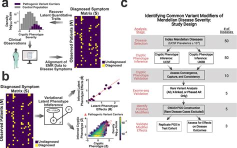 A Phenotype Driven Approach To Identifying Common Variant Modifiers A Download Scientific