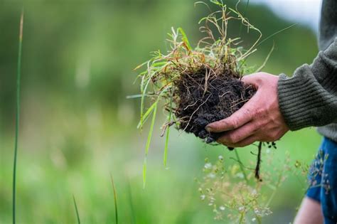 Premium Photo Farmer Collecting Soil Samples In A Test Tube In A Field Agronomist Checking