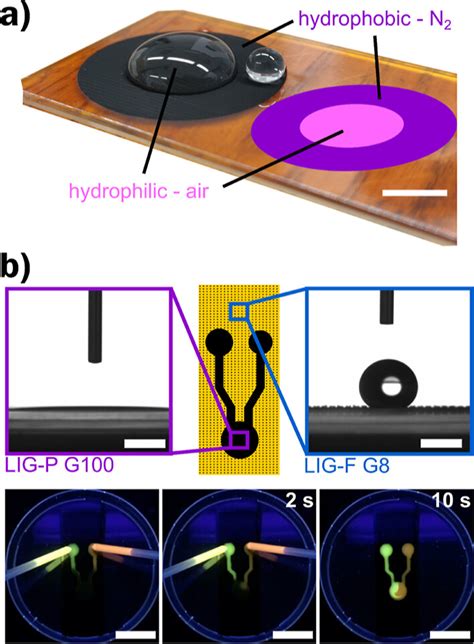 Different Roles Of Surface Chemistry And Roughness Of Laser Induced Graphene Implications For