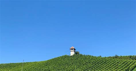 Bodensee 경작 경치 경치가 좋은 고요한 그림 같은 낮 녹색 녹지 농업 농지 농촌의 독일 맑은 하늘 망대 무성한 무성한 초목 바덴 뷔