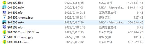 Emby Can T Recognize The External Audio File General Windows Emby Community