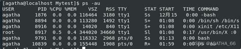 【操作系统】实验一 linux基础 csdn博客