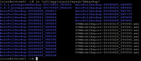 Oracle Vm Server Backup Manager Rodrigo Lira
