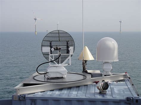Bird Detection Over Water Sea Wind