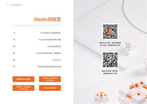 重磅下载 Redis最佳实践与实战指南 源代码核心贡献者带你学习redis关键技术 阿里云开发者社区