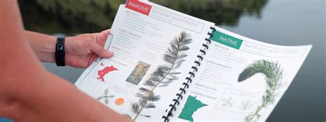 AIS Detectors Group Workshops Minnesota Aquatic Invasive Species Research Center MAISRC