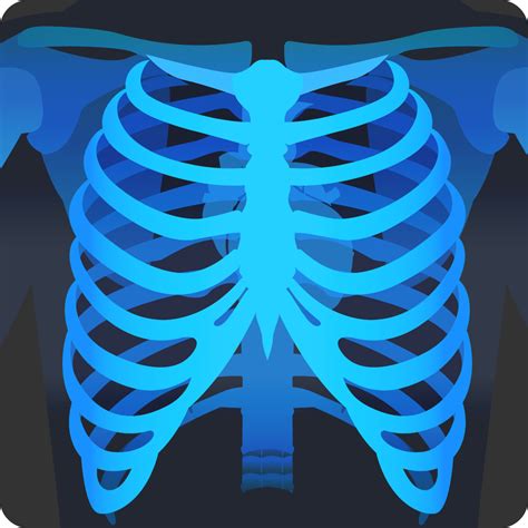 Microdicom Dicom Viewer For Pc Windows