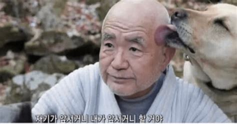 강아지는 왜 핥을까 강아지가 핥는 이유 5가지
