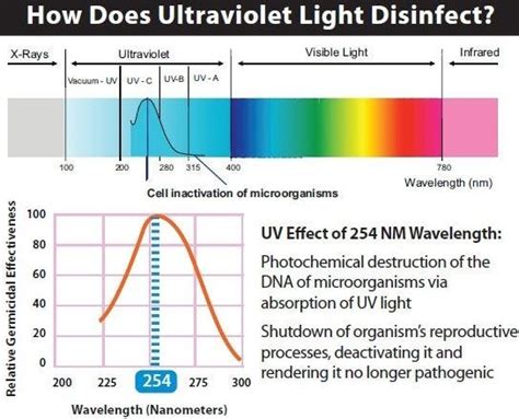Two Leading Decontamination Methods Uv C Vs Hpv
