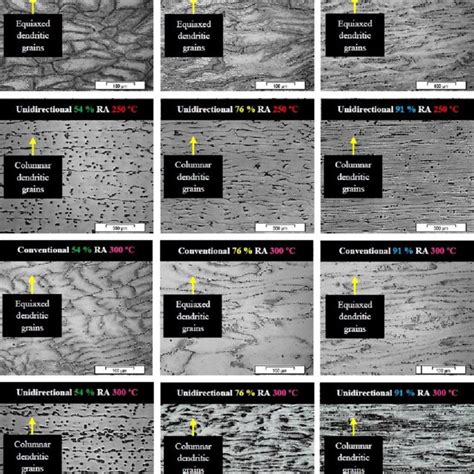 Example Of Macrostructures Of A Equiaxed Dendritic Grains B