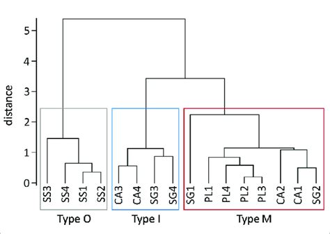 Dendrogram Obtained From A Cluster Analysis Performed On Mean Sod 20 Download Scientific