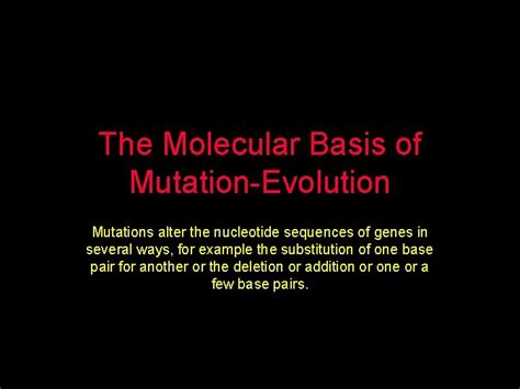 Evolution The Molecular Basis Of Mutationevolution Mutations Alter