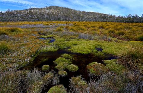Nescient Peak 2015 Dec Natureloverswalks