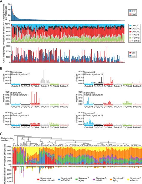 Whole Exome Sequencing Reveals Genomic Landscape Of Intrahepatic Cholangiocarcinoma And